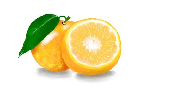 Drawing of Orange by Debidolittle - Drawize Gallery!