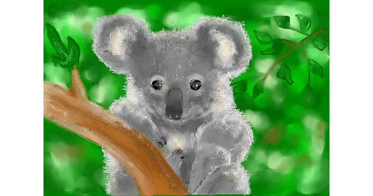 Watch Kira draw Koala!