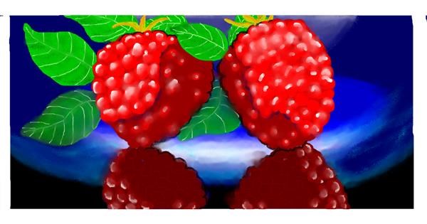 Raspberry Drawing - Gallery and How to Draw Videos!