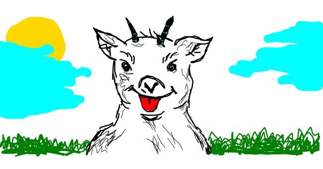 Drawing of Goat by bogi - Drawize Gallery!