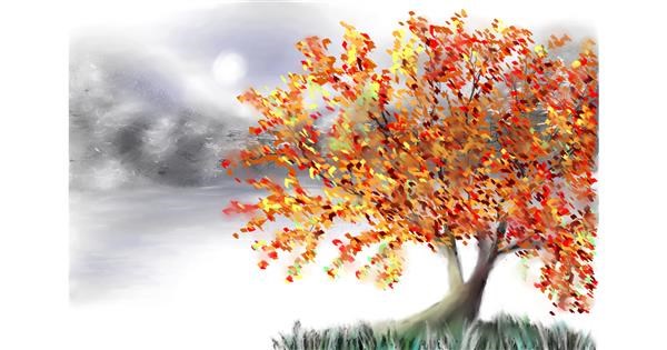 Drawing of Tree by Wizard - Drawize Gallery!