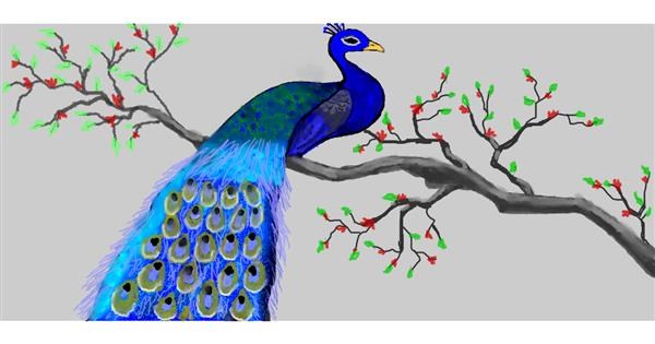 Paun - crtež od autora: Debidolittle - Drawize galerija!