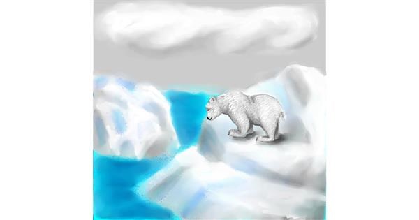 Medvjed - crtež od autora: Andromeda - Drawize galerija!