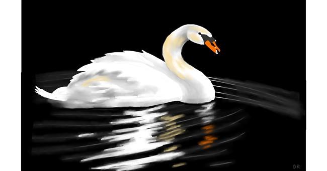 Labud - crtež od autora: flowerpot - Drawize galerija!