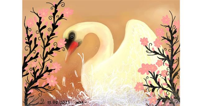 Labud - crtež od autora: Хоба-Nota - Drawize galerija!