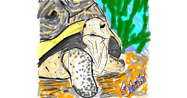 Drawing of Tortoise by BRIDALIO - Drawize Gallery!