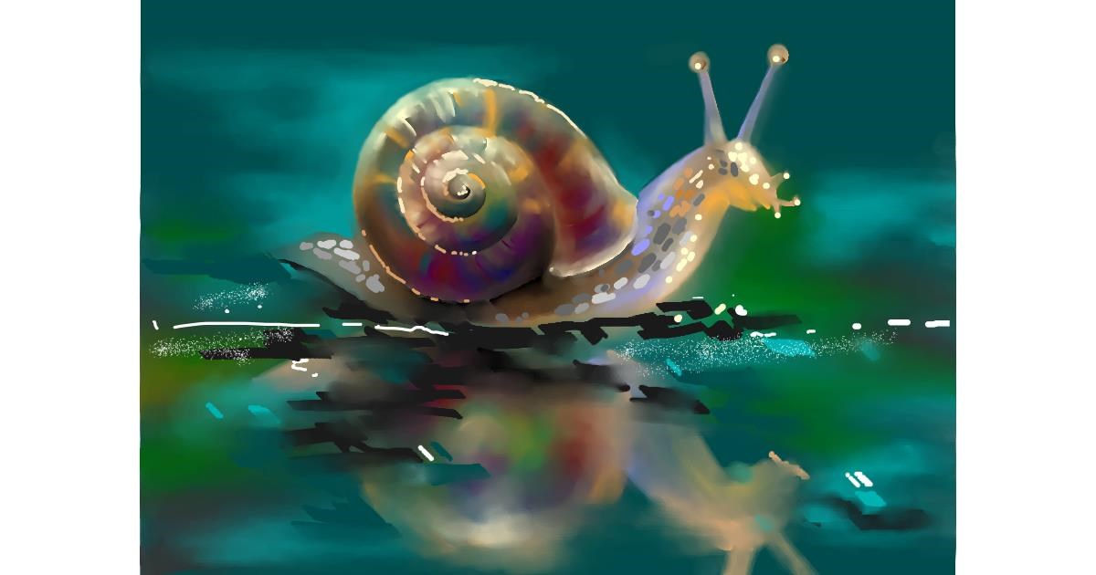 Elaborate Drawings Snail How To Draw A Snail | Snail Drawing In Color