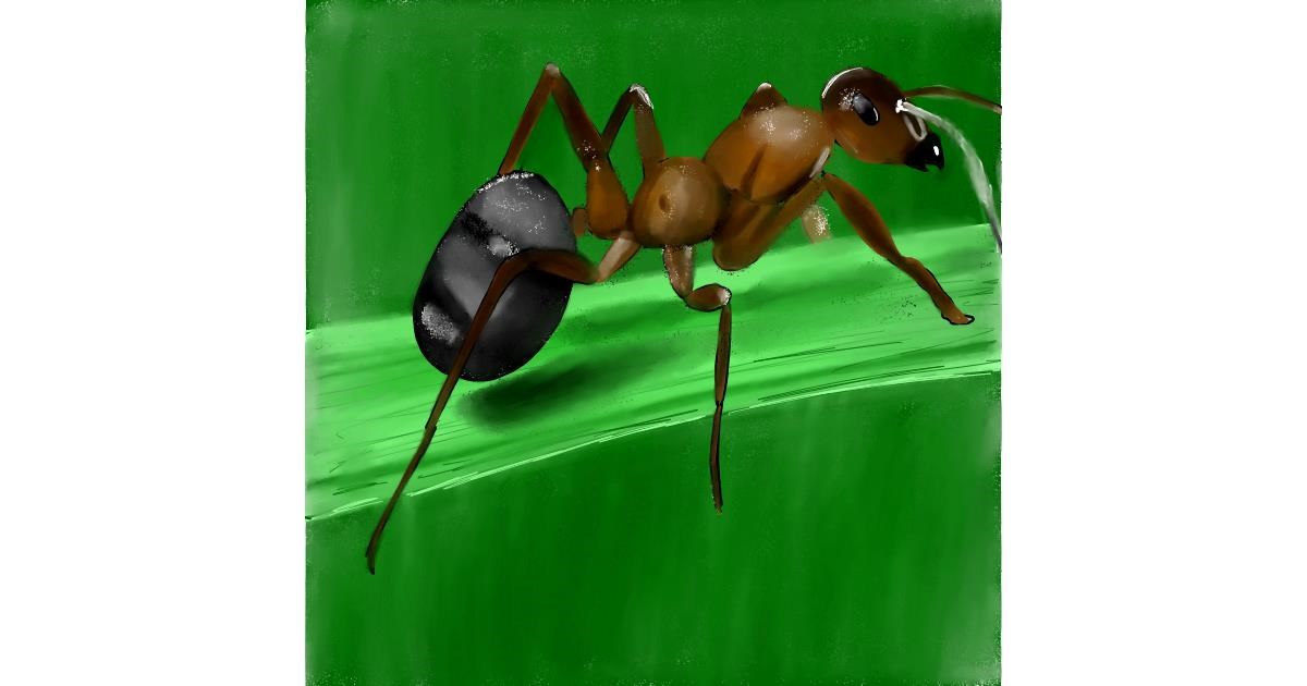 Pogledajte kako Lou crta Mrav!