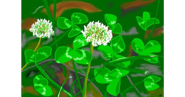 Drawing of Clover by flowerpot - Drawize Gallery!