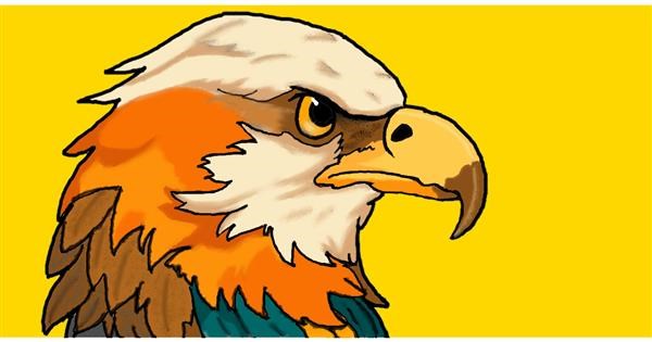 Drawing of Eagle by InessA - Drawize Gallery!
