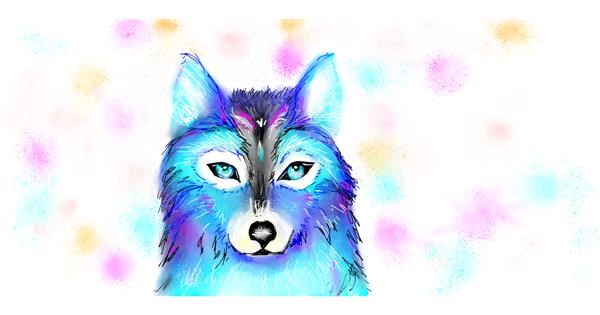 Vuk - crtež od autora: Robin - Drawize galerija!