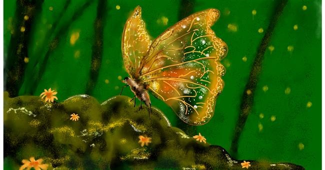 Leptir - crtež od autora: Eclat de Lune - Drawize galerija!