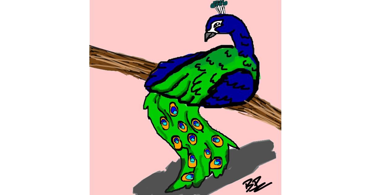 Pogledajte kako Brightpumpkin crta Paun!