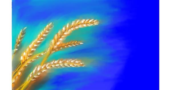 Drawing of Wheat by Edgar - Drawize Gallery!