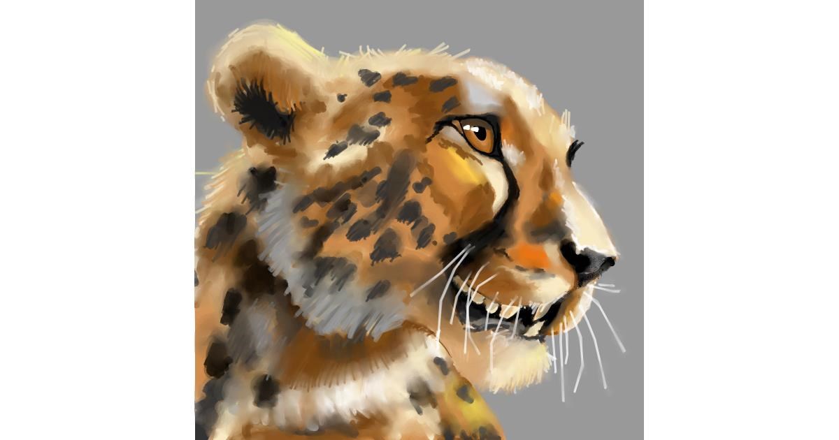 Watch Mell draw Cheetah!