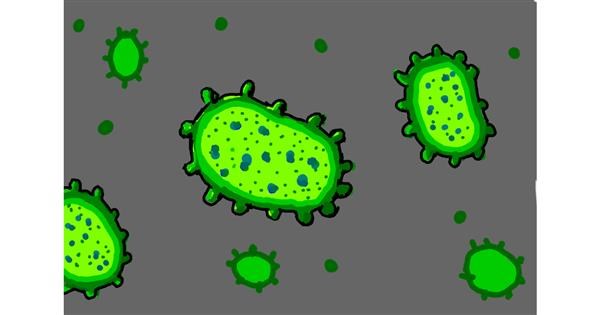 Bacteria Drawing - Gallery and How to Draw Videos!