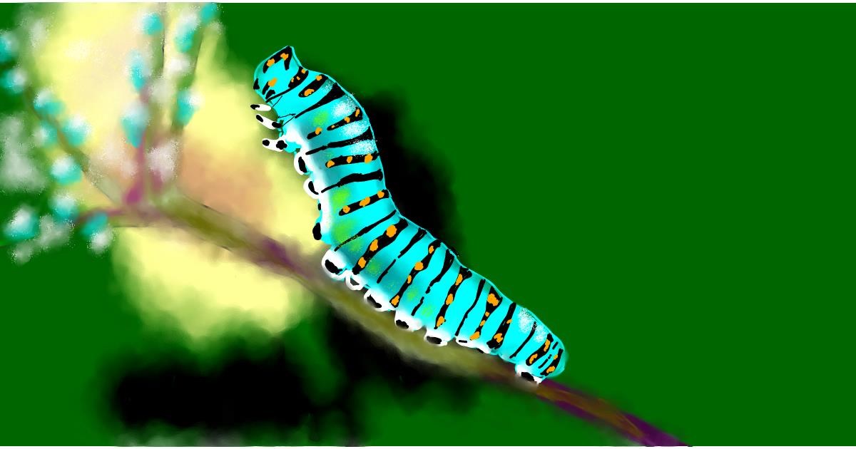 Caterpillar Drawing - Gallery and How to Draw Videos!