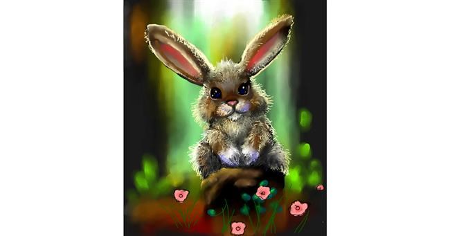 Zec - crtež od autora: Leah - Drawize galerija!