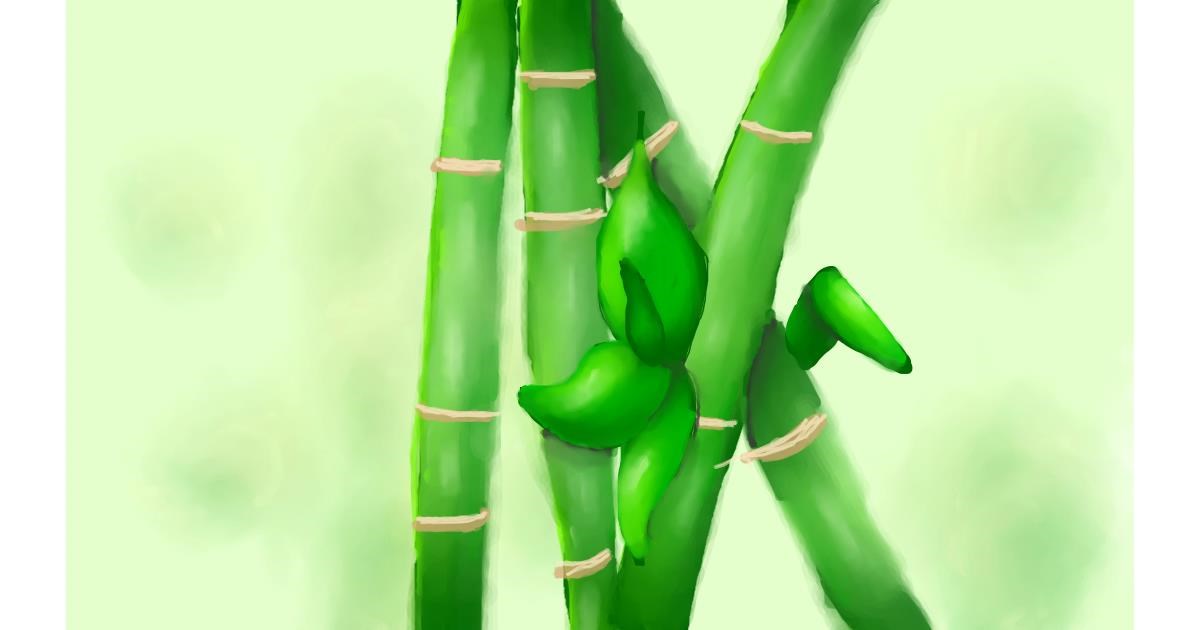 Watch Solin draw Bamboo!