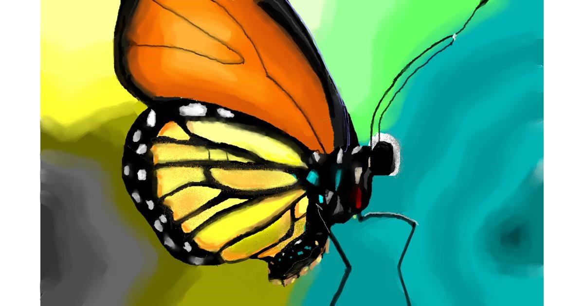 Watch Herbert draw Butterfly!