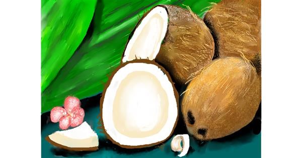 Drawing of Coconut by SAM AKA MARGARET - Drawize Gallery!