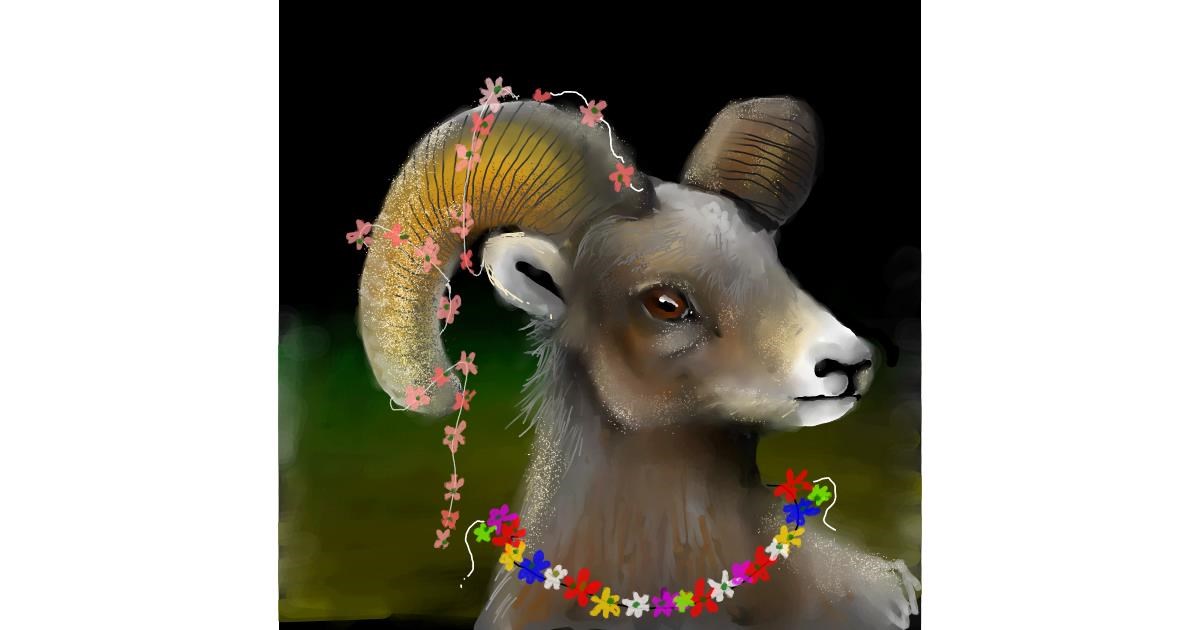 Pogledajte kako Leah crta Ovca!