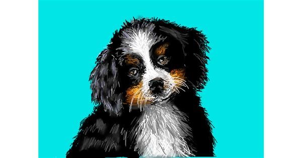 Pas - crteži: Galerija i upute za crtanje