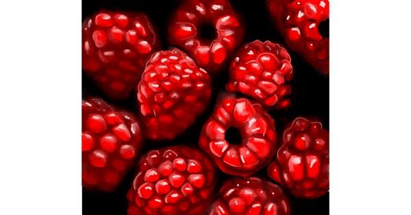 Raspberry Drawing - Gallery and How to Draw Videos!