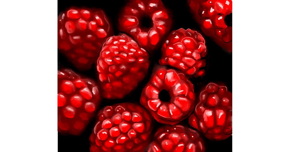Raspberry Drawing - Gallery and How to Draw Videos!
