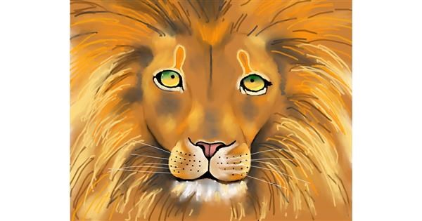Drawing of Lion by Cec - Drawize Gallery!