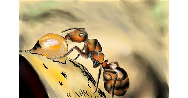 Drawing of Ant by Wizard - Drawize Gallery!