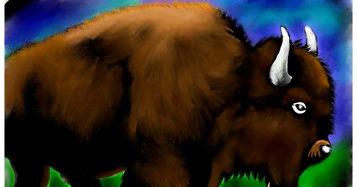 Watch Annie draw Bison!