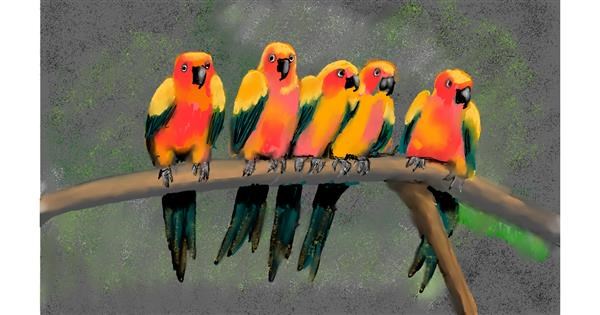 Drawing of Bird by SAM AKA MARGARET - Drawize Gallery!