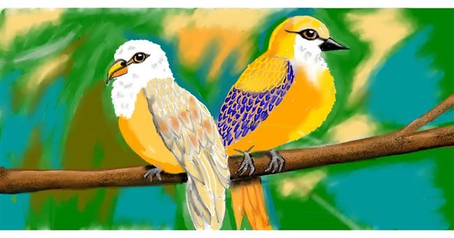 Vogel Zeichnung von SAM AKA MARGARET - Drawize Galerie!