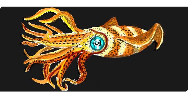 Drawing of Squid by AsianWantsBlue-eyedBlonde - Drawize Gallery!