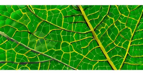 Drawing of Leaf by Kim - Drawize Gallery!