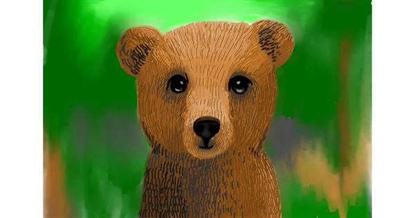 Drawing of Bear by Lollipop - Drawize Gallery!