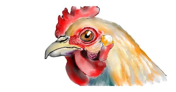 Drawing of Chicken by Kim - Drawize Gallery!