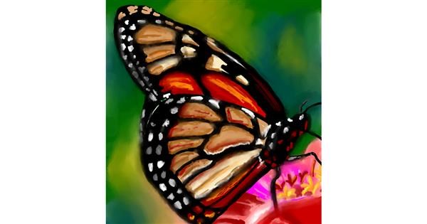 Leptir - crteži: Galerija i upute za crtanje