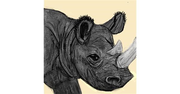 Drawing of Rhino by KayXXXlee - Drawize Gallery!