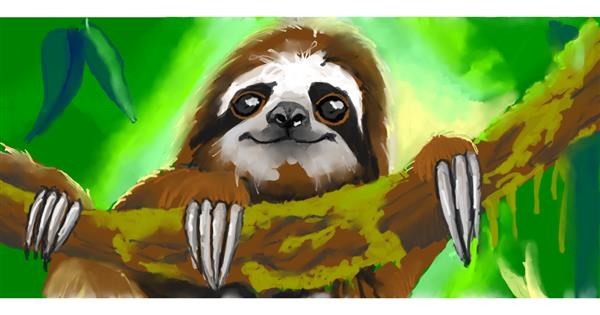 Sloth Drawing - Gallery and How to Draw Videos!