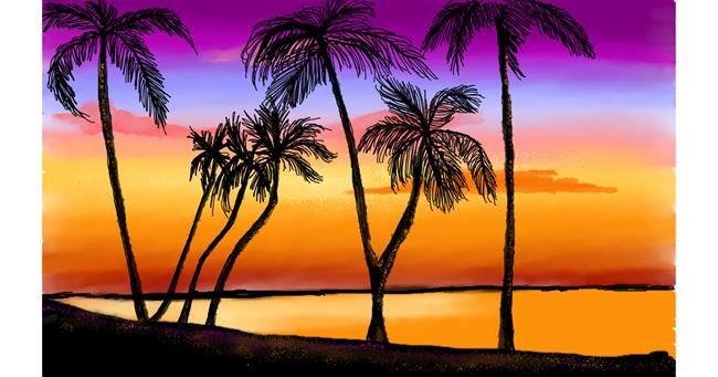 Palm Tree Beach Sunset Drawing