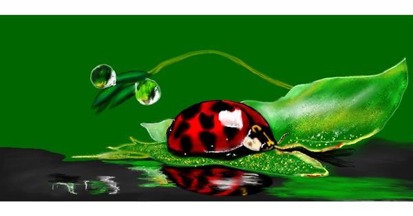 Drawing of Ladybug by Chaching - Drawize Gallery!