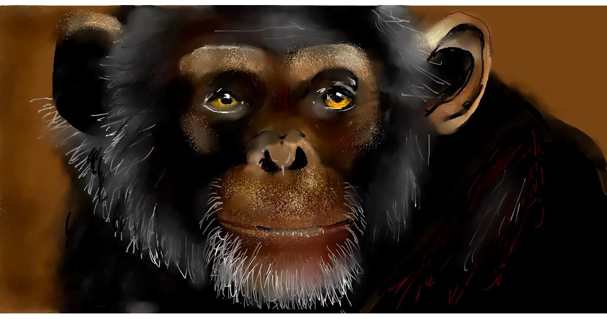 Watch Mandy Boggs draw Monkey!