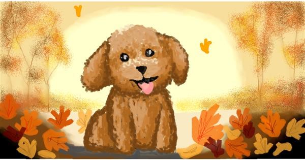 Drawing of Poodle by Mimps35 - Drawize Gallery!