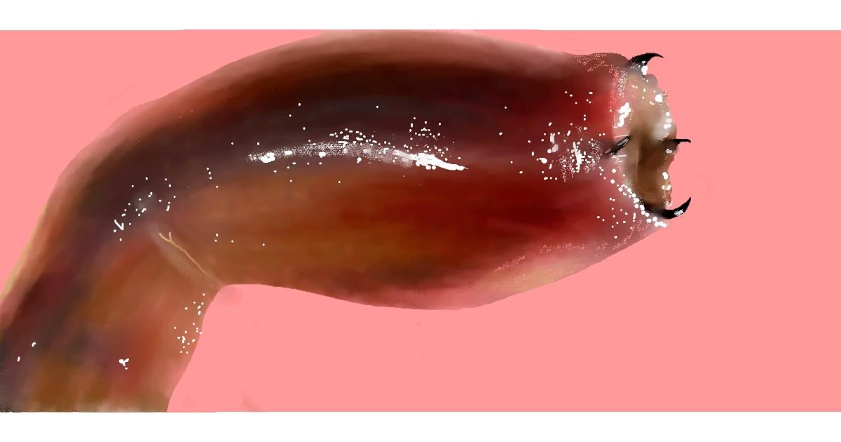 Watch Mandy Boggs draw Worm!