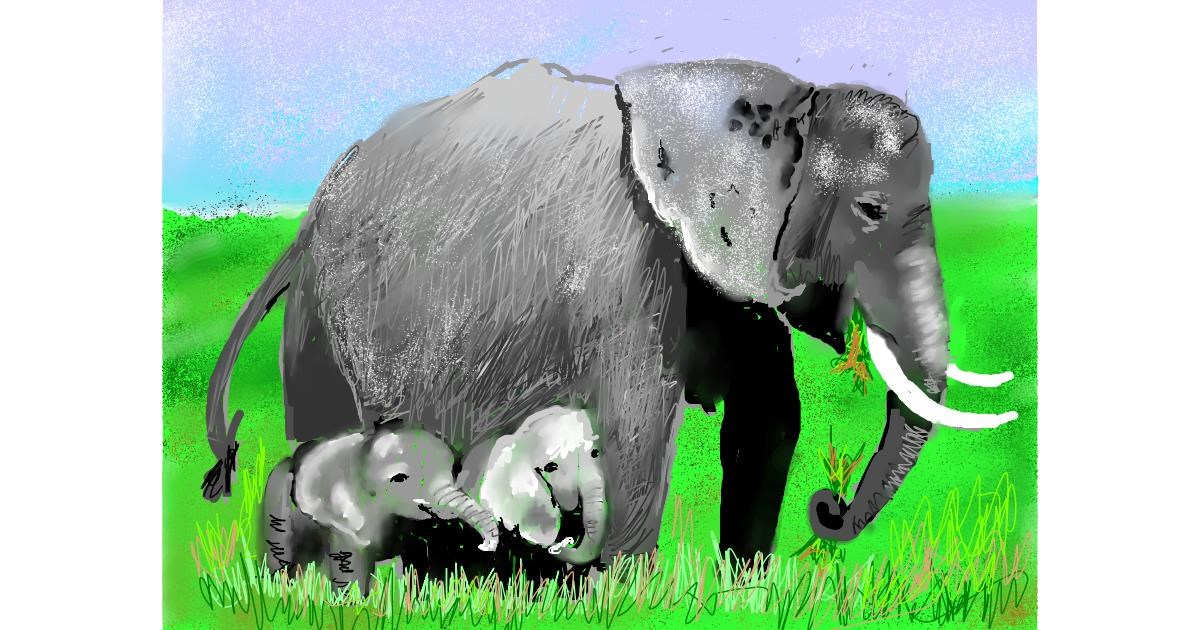 Slon - crtež od autora: SAM AKA MARGARET - Drawize galerija!