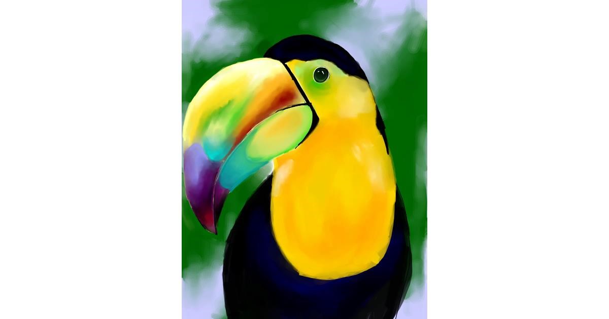 Watch Rocket draw Toucan!