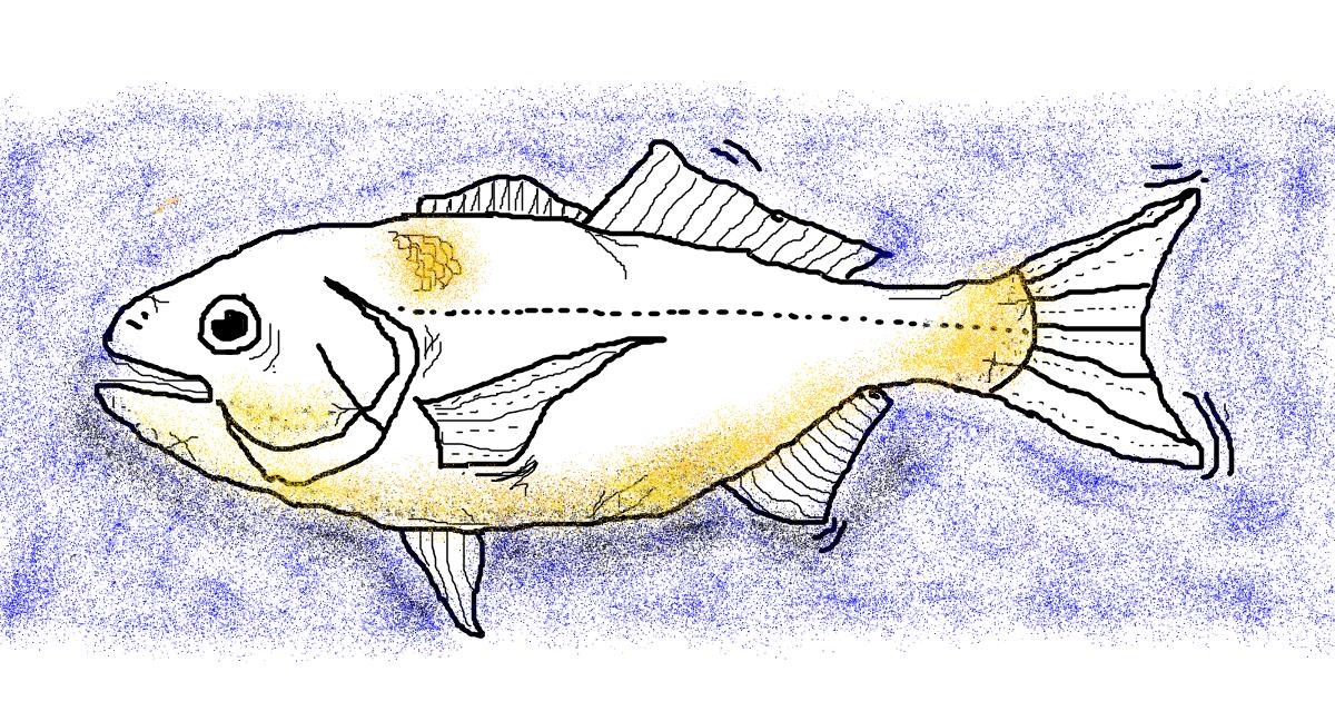 Riba - crtež od autora: Chloe - Drawize galerija!