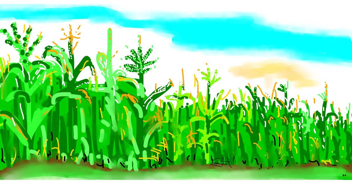 Watch Skipper draw Corn!